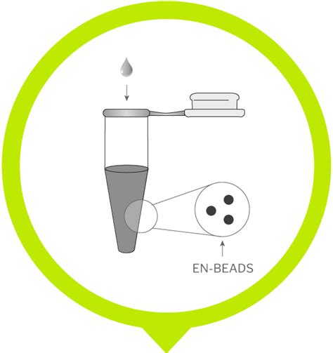 Enrich Ist Kit Optimizing Serum And Plasma Sample Preparation For Wider Proteome Profiling