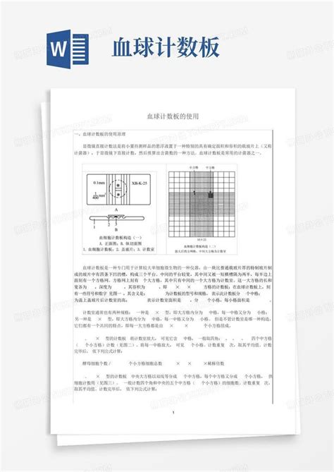 血球计数板word模板下载编号qzgdxxyo熊猫办公