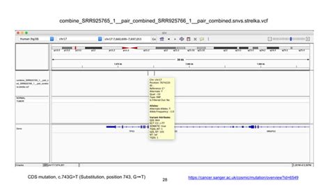 Free Webinar Introduction To Bioinformatics Biologist 1 Pptx Biotech And Biomedical