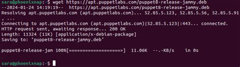 How To Install Puppet On Ubuntu And Phoenixnap Kb