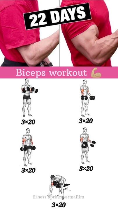 Dumbbell Biceps Blast Sculpt Your Arms With This Intense Workout