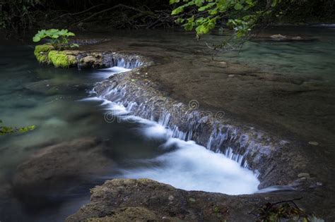 The Most Beautiful Green Stock Photo Image Of Pond 285661718