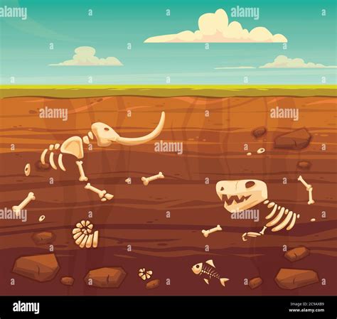 Dinosaur Fossils In Ground Clipart
