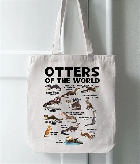 Types Of Otters Png Cute Otter Png Otter Breeds Png Cut File