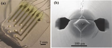A Distribution Pattern Of The Microneedle Array And B Detail Of The