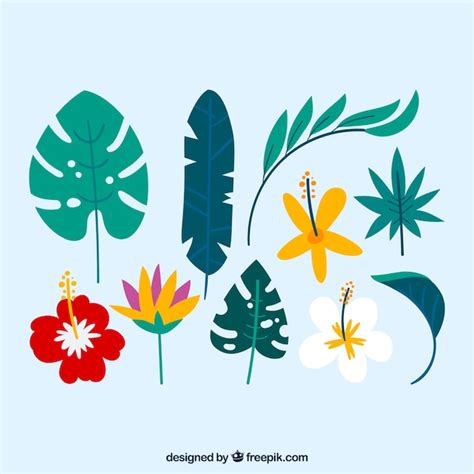 Free Vector Lovely Tropical Leaf Collection With Flat Design