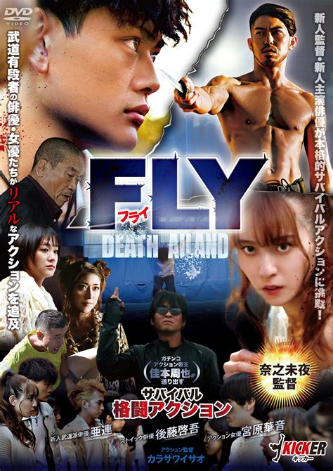 Fly Earth Gate