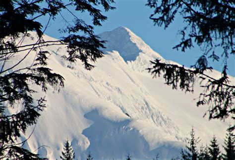 Sandras Alaska Photography February 25 2013 Beautiful Sunny Day In