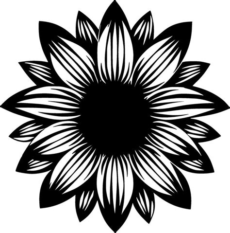 Sunflower Black And White Vector Illustration 41948230 Vector Art At