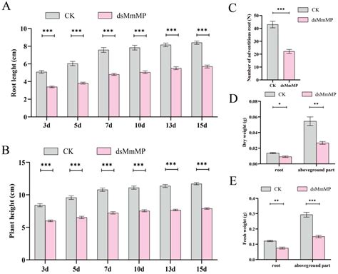 Silencing Of The Mp Gene Via Dsrna Affects Root Development And Growth In The Invasive Weed