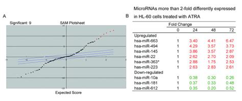 Microrna Expression In Hl 60 Cells During Atra Induced Differentiation