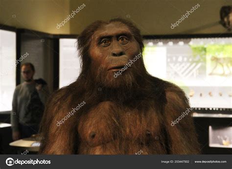 Walking With Cavemen Australopithecus