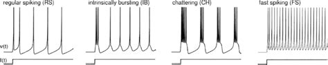 Four Major Spiking Mode Including Regular Spiking Intrinsically