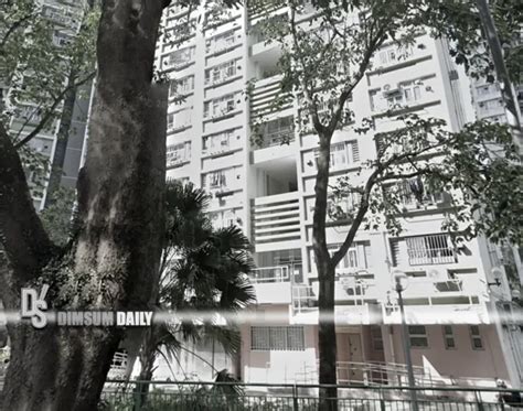 Woman Attacked By Unknown Assailant In Mei Lam Estate Tai Wai Dimsum