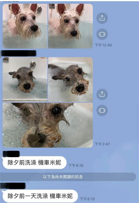 晨希寵物美容生活館 — 純屬一個可愛的搶預約方式 — 居然客人正在預約過年前一天要洗澡😂