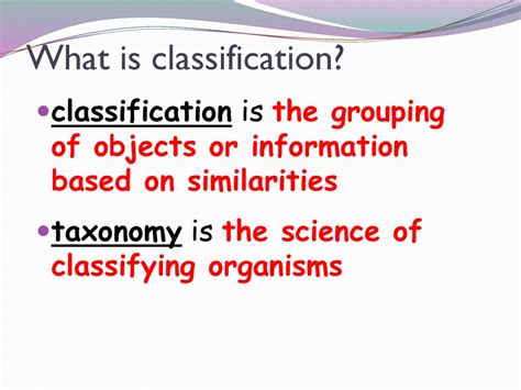 Classification Ppt Download