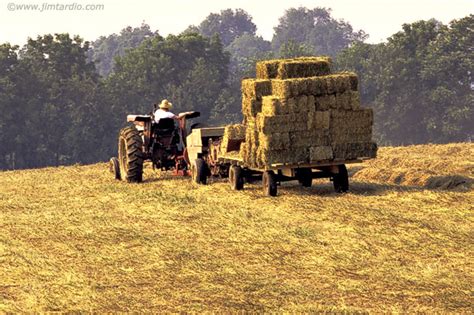 Amish Dating Amish Smoking ‘old And ‘new Perspectives Amish America
