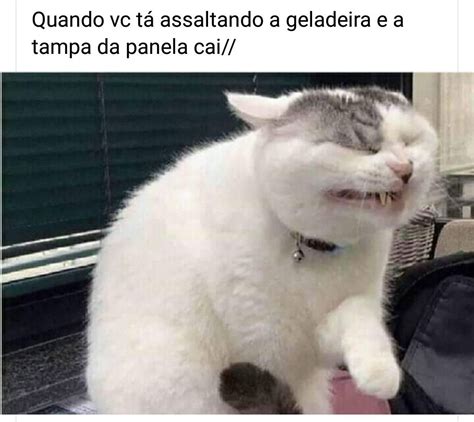 Pin de 𝐹𝑟𝑖𝑑𝑎 em Memes em 2020 Memes engraçados Memes
