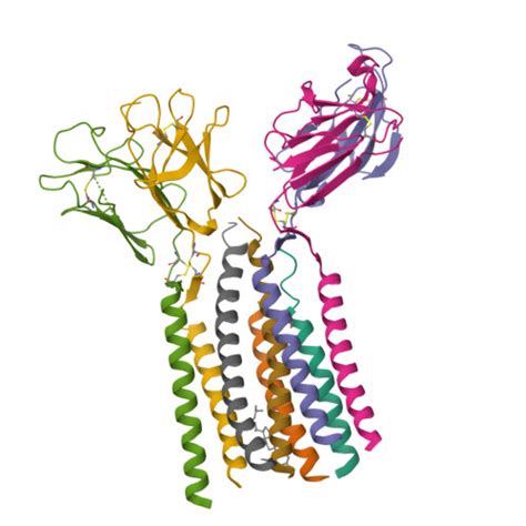 Rcsb Pdb 8za6 Cryo Em Structure Of The Gdtcr Cd3 Complex