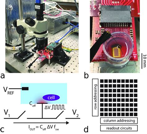 Electrochemical Imaging Biosensor Array A An Integrated Cmos Download Scientific Diagram