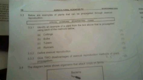 33 Below Are Examples Of Plants That Can Be Propagated Through Asexual R