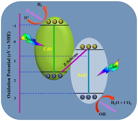 Review Of Recent Developments In The Fabrication Of Znocds Heterostructure Photocatalysts For