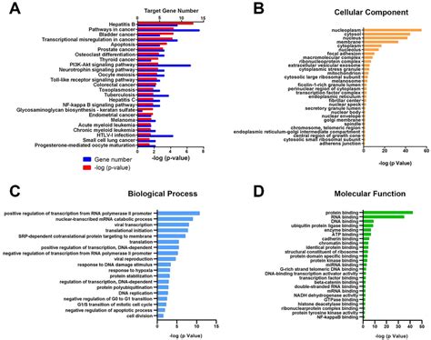 Kegg And Go Enrichment Analysis A Kegg Pathway Analysis On Targets