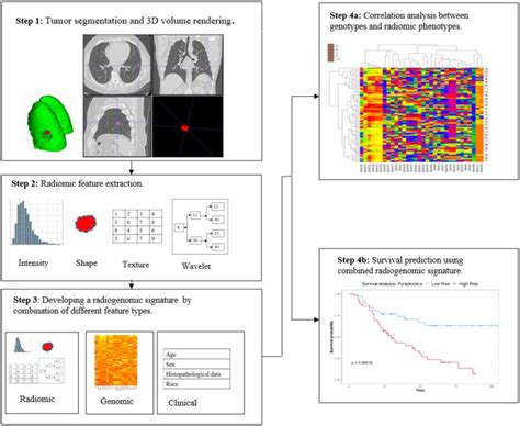 Radiogenomics In Brain Breast And Lung Cancer Opportunities And