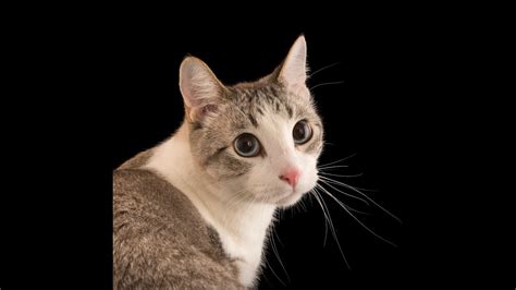 Making Rgb A And B Youtube