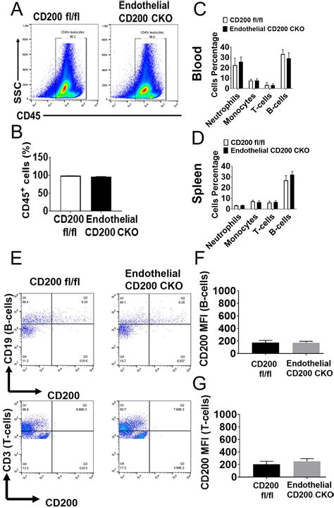Brain Endothelial Cd200 Signaling Protects Brain Against Ischemic