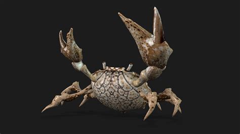 Crab C2 Animated 3d Model By Animated3d