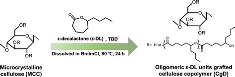 Schematic Illustration Of The Synthesis Of Cgd By One Pot Ring Opening Download Scientific