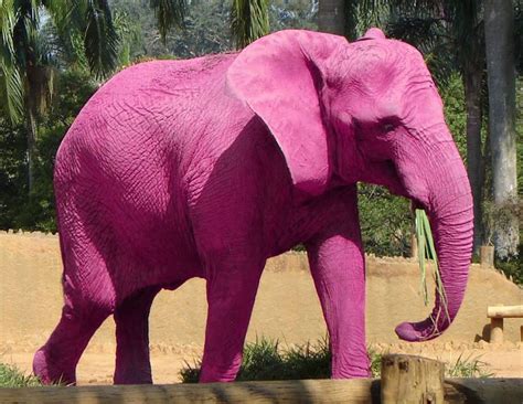 Playskool Pink Elephant