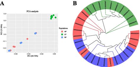 Principal Component Analysis Pca A And Phylogenetic Tree Analysis