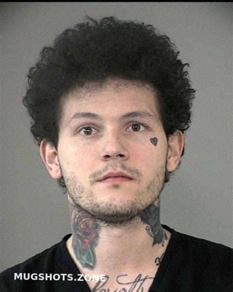 Allison Dylan Ray 02192024 Fort Bend County Mugshots Zone