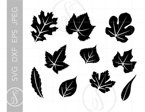 Fall Leaf Outline SVG