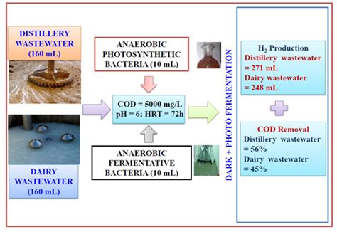 Ijms Free Full Text Single Stage Operation Of Hybrid Dark Photo
