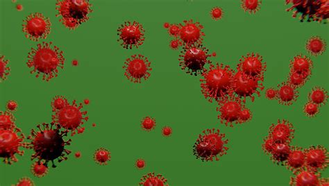 Bloodborne Pathogens Training