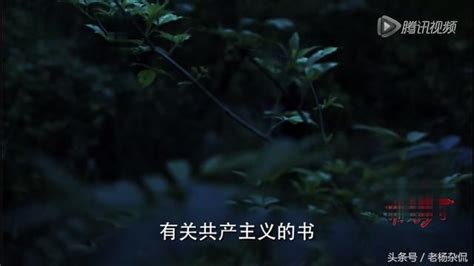 《偽裝者》明台為什麼愛上程錦雲而不是於曼麗？ 每日頭條