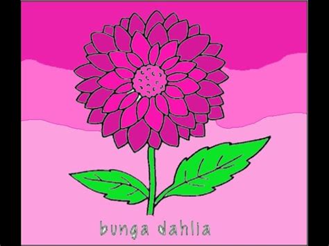 Detail Gambar Jeruk Gambar Mewarnai Bunga Dahlia Koleksi Nomer 40
