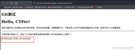 从0到1 cfter成长之路 1 1举足轻重的信息搜集配套题 dirserch语法 csdn博客