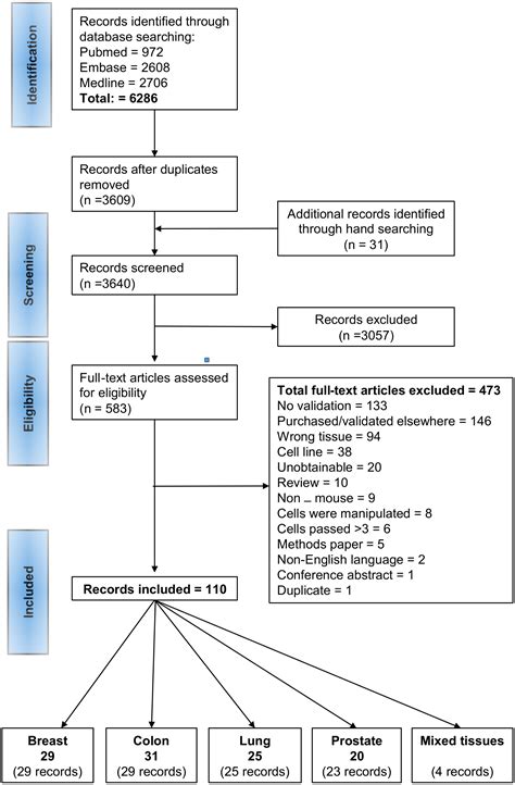 Openoffice Draw Data Model Posafantastic