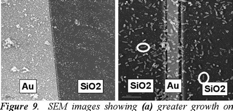 Figure 1 From Microbial Fuel Cell Based On Electrode Exoelectrogenic