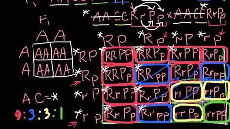 Nikolays Genetics Lessons On Linkedin Nikolays Genetics Lessons