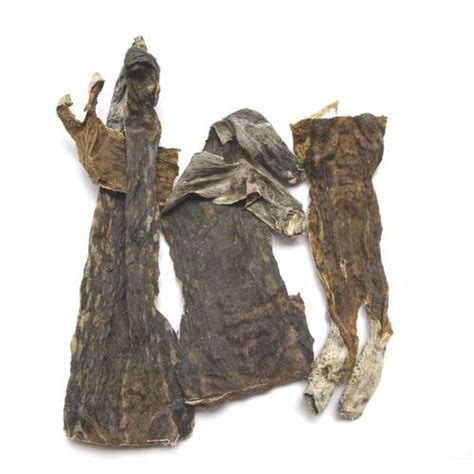 Cutis Bufonis Tcm Herbs Tcm Wiki