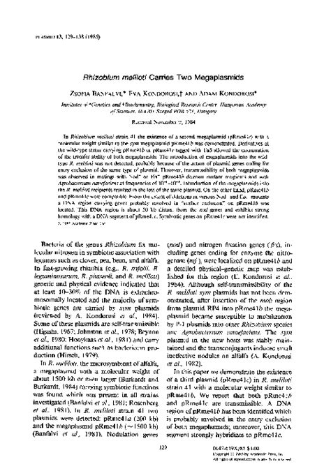 Pdf Rhizobium Meliloti Carries Two Megaplasmids