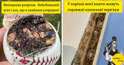 17 фотографій які доводять що все найцікавіше живе поруч із нами ОЧМАНІТИ