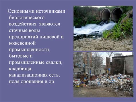 Биологическое загрязнение Online Presentation