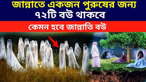 জান্নাতে একজন পুরুষের জন্য ৭২টি বউ থাকবে কেমন হবে জান্নাতি বউ জেনে