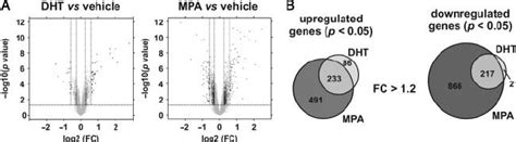 Microarray Analysis Of Dht And Mpa Regulated Genes In Mda Mb 453 Download Scientific Diagram